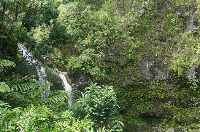 PRIVATE Road to Hana Tour - Who Is This Tour Best For?
