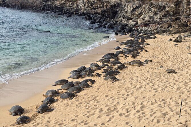Private Road to Hana Tour with Pickup-Ultimate Package, Backside - Final Thoughts