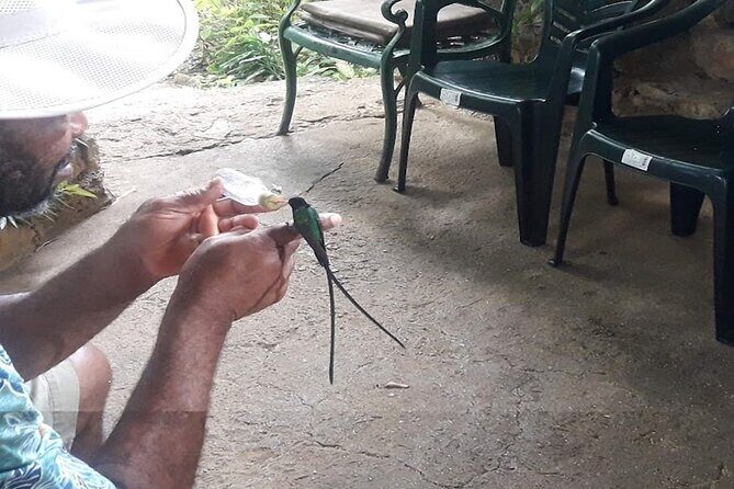 Private Rockland Bird Sanctuary Tour from Falmouth - The Journey Begins: From Falmouth to the Sanctuary