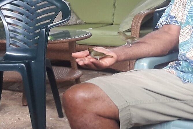 Private Rockland Bird Sanctuary Tour from Falmouth - What’s Included and What You Should Know