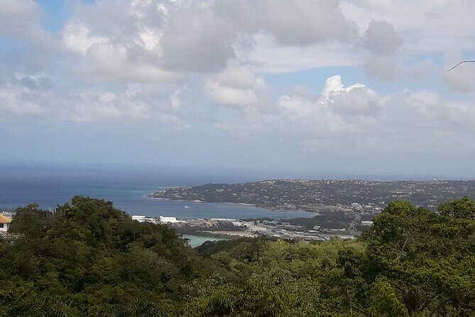 Private Rockland Bird Sanctuary Tour from Falmouth - Practical Considerations and Traveler Tips