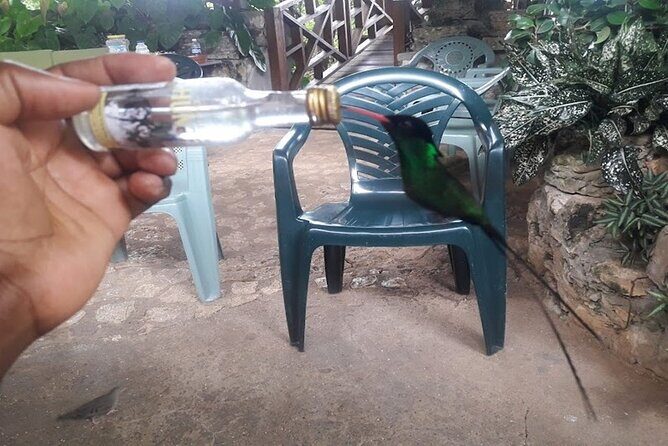 Private Rockland Bird Sanctuary Tour from Falmouth - The Sum Up