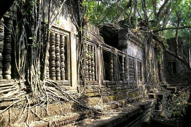 Private Roluos Group, and Beng Melea Tour - Beng Mealea: The Overgrown Wonder