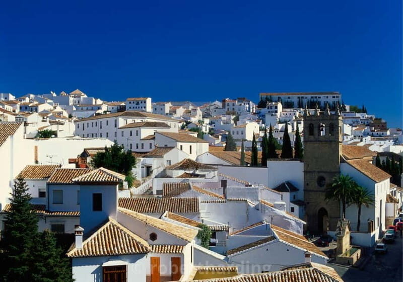 Private Ronda Day Trip Tour from Sevile - Introduction: A Journey Worth Considering