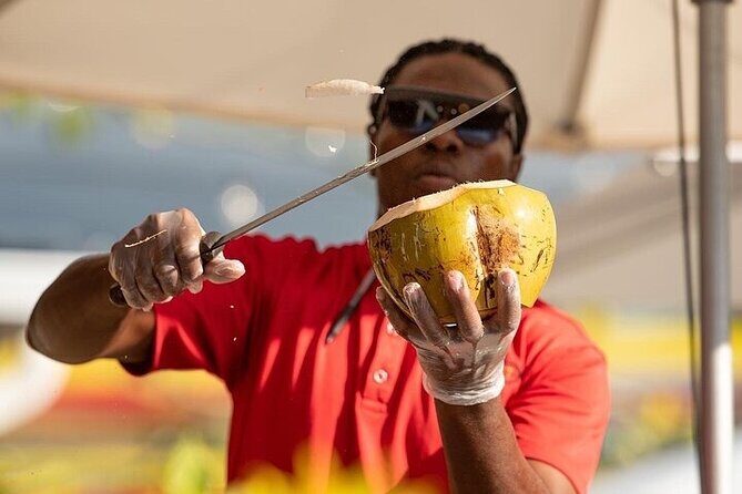 Private Rose Hall Great House Tour with Scotchies Lunch - Who Should Consider This Tour?