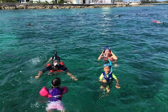 Private Rose Island, Swimming Pigs, Snorkeling and Turtles - What Travelers Love