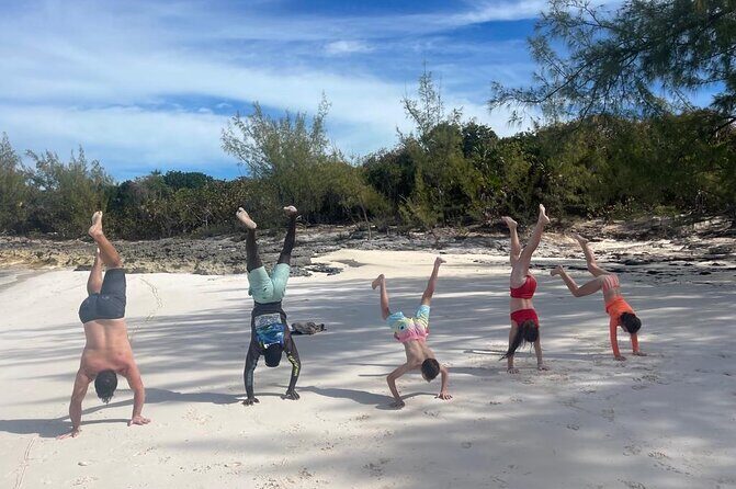 Private Rose Island, Swimming Pigs, Snorkeling and Turtles - Who This Tour Is Best For