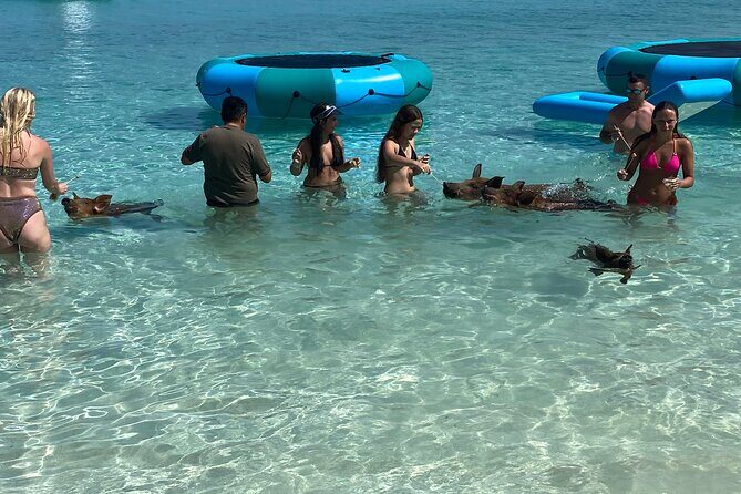 Private Rose Island Tours - Practical Tips and Considerations