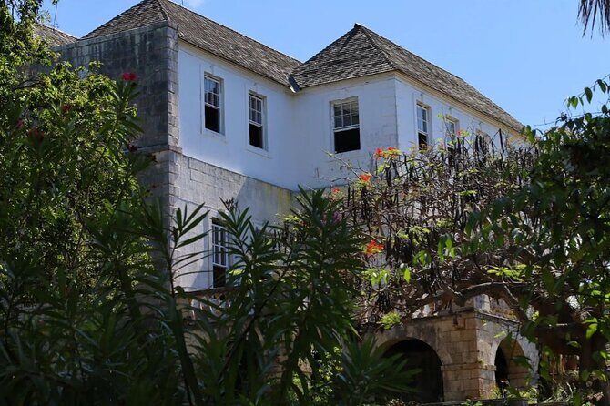 Private Rosehall Great House and Hilite Tour from Montego Bay - What to Expect from the Tour: A Detailed Breakdown