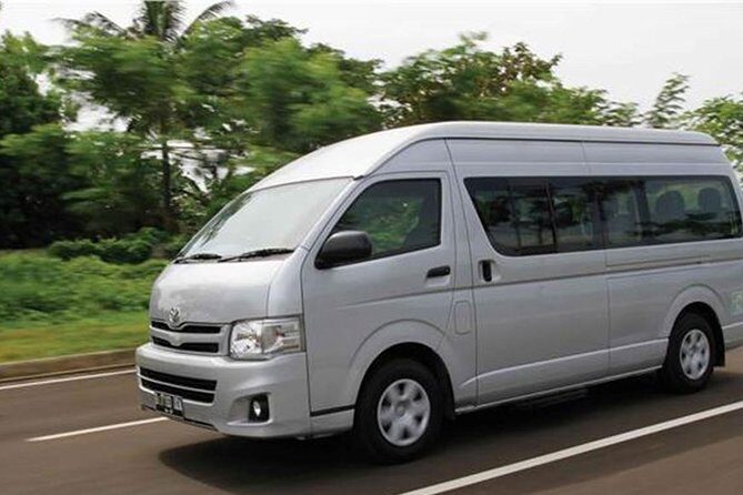 Private Round Trip Airport Transfer Uvero Alto Hotels 7-12 Pax - Introduction