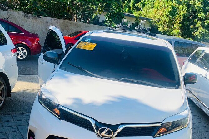 Private Round Trip Punta Cana Airport to Uvero Alto Villa/Hotel Transfer - Why Travelers Trust Rosado Transfers and Tours