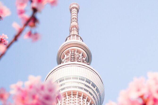 Private Round Trip Transfer from Haneda/Narita Airport to Tokyo. - Key Points