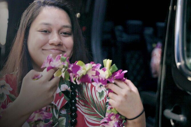 Private Round-Trip Transfer: Honolulu International Airport to Hotel or Cruise Terminal - Who This Transfer Is Best For