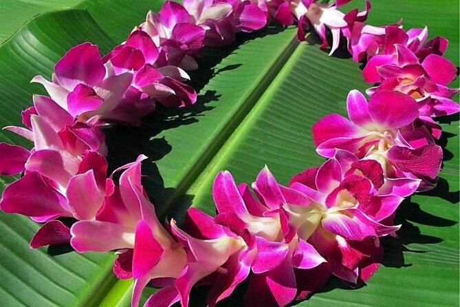 Private Round-Trip Transfer: Maui Kahului Airport to Maui Hotels - Frequently Asked Questions