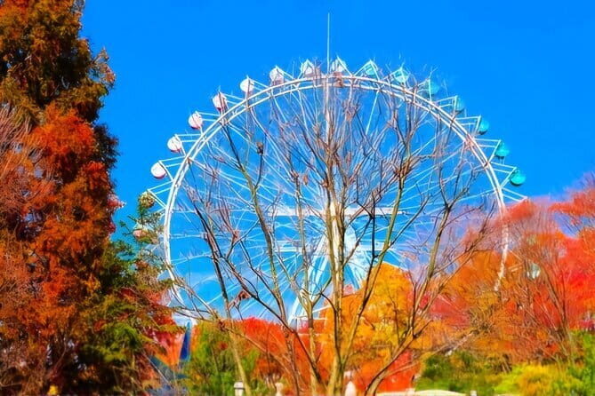 Private Round Trip Transfer - Seoul Hotel to Everland Theme Park - Final Thoughts