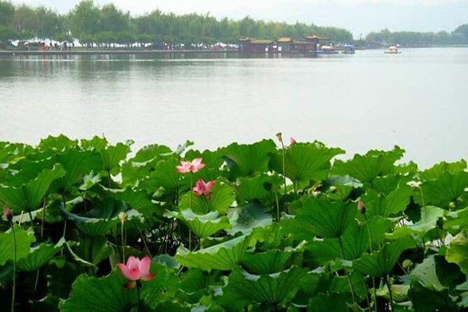 Private Round Trip Transfer to Changshu from Shanghai - Value for Money and Who It’s Best For