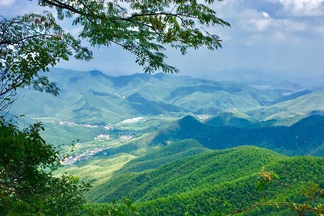 Private Round Trip Transfer to Mogan Mountain from Hangzhou - Exploring Mogan Mountain from Hangzhou: A Practical, Authentic Day Trip