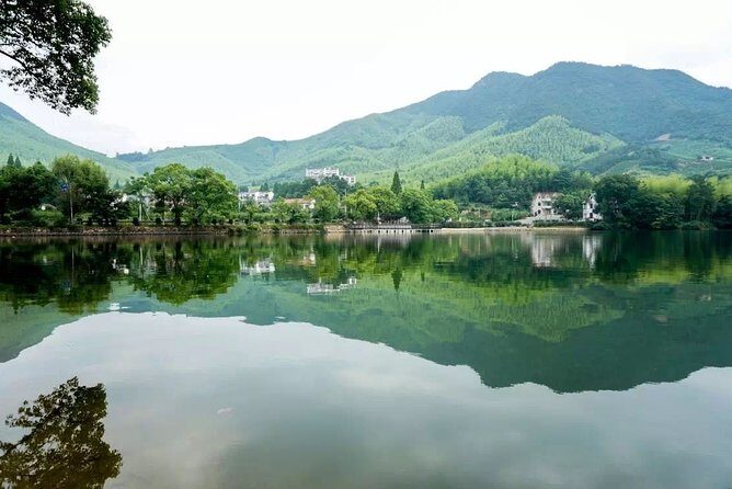 Private Round Trip Transfer to Mogan Mountain from Hangzhou - In-Depth Look at the Itinerary
