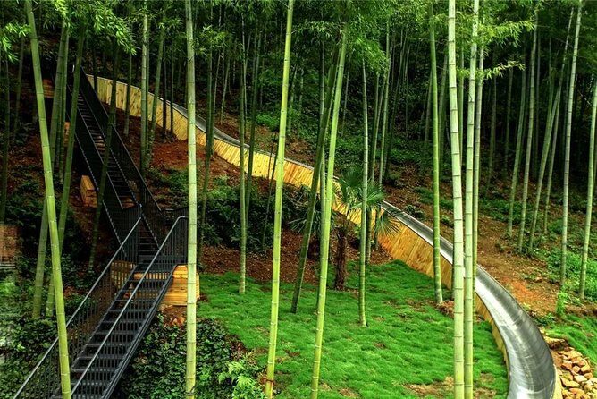 Private Round Trip Transfer to Mogan Mountain from Hangzhou - The Sum Up