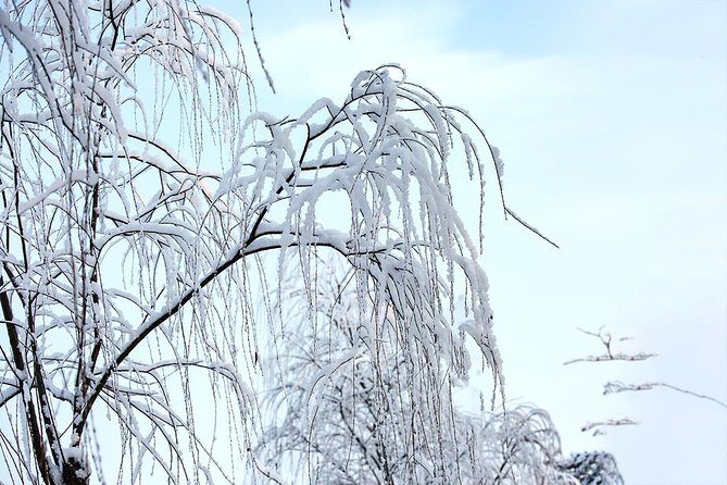 Private Round Trip Transfer to Nanshan, Jundushan or Huaibei Ski Resort from Beijing - A Closer Look at the Ski Resort Options