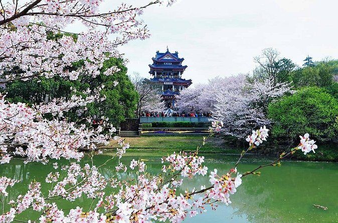 Private Round Trip Transfer to Top Wuxi Attractions from Shanghai - The Sum Up