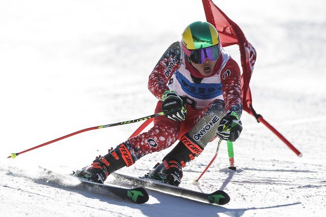 Private Round-Trip Transfer to Wanlong Ski Resort From Beijing - The Vehicle and Facilities