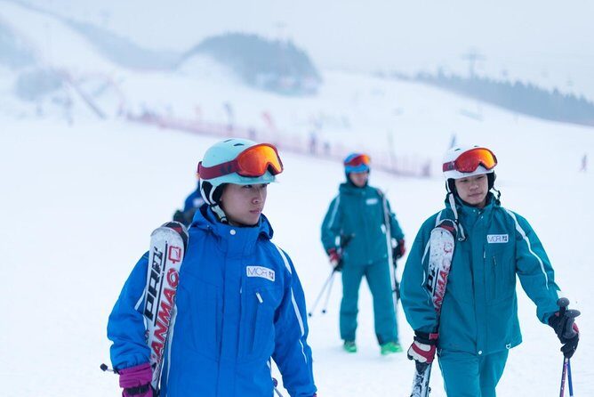 Private Round-Trip Transfer to Wanlong Ski Resort From Beijing - Who Is This Tour Best For?