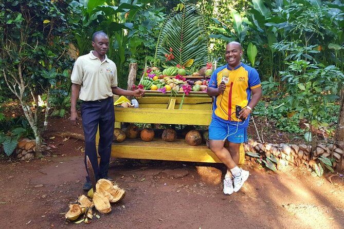 Private Round Trip Transfer to YAAMAN Adventure Park Ocho Rios - Price and Value