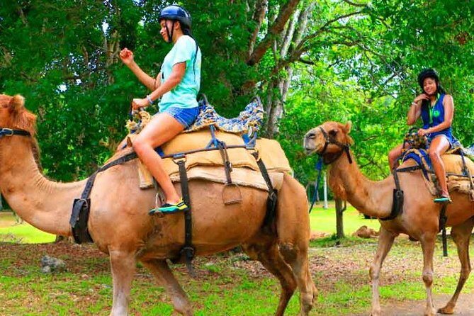Private Round Trip Transfer to YAAMAN Adventure Park Ocho Rios - Who Will Love This Experience?