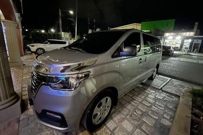 Private Round Trip Transportation for Groups in Punta Cana - The Sum Up