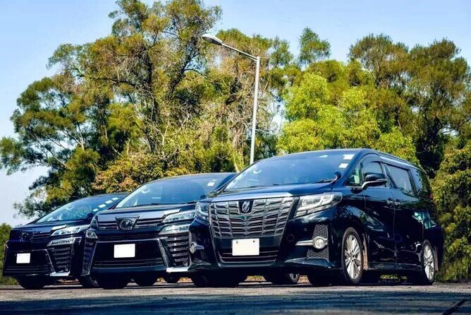 Private Roundtrip Airport Transfer to Resorts in Montego Bay - Key Points