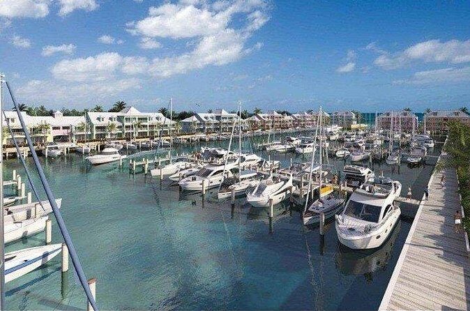 Private Roundtrip Minibus Transfer to Palm Cay - FAQ