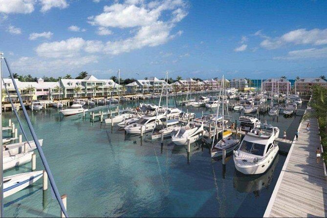 Private Roundtrip Minivan Airport Transfer to Palm Cay - Introduction