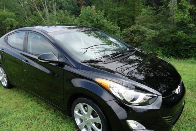 Private Roundtrip Minivan Airport Transfer to Palm Cay - FAQ