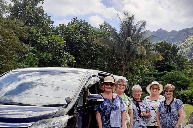 Private Roundtrip Transfer - Nadi Airport to Fiji Marriott Momi Bay - Exploring the Private Transfer Service