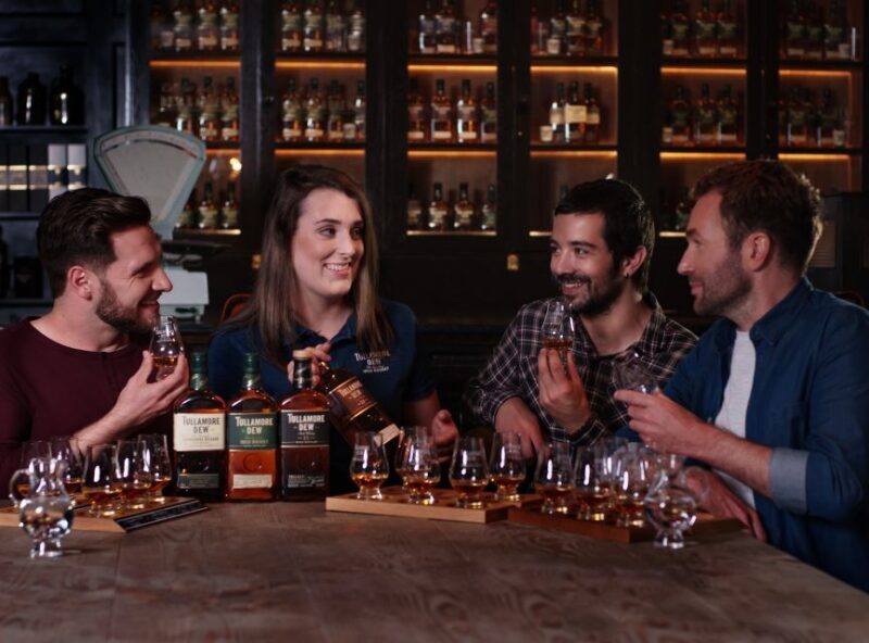 Private rural Ireland whiskey tour with Tullamore D.E.W. - Who Should Consider This Tour?