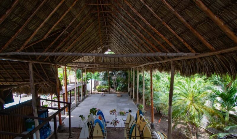 Private: Rural & Urban Dominican Life Tour: Flavors, Fields - Key Points