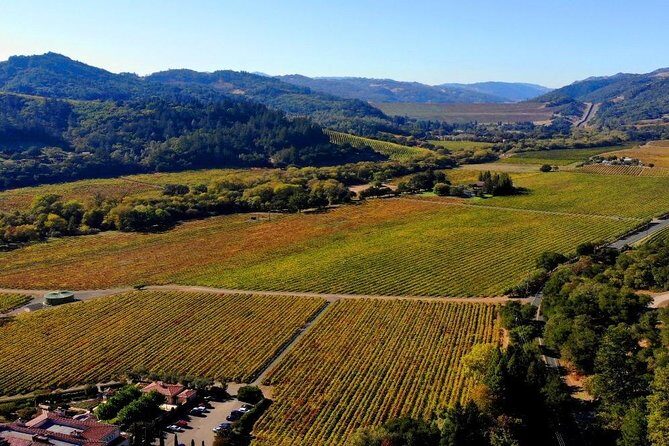 Private Russian River Day Trip from San Francisco: Redwoods and Wine Country - Scenery, Cuisine, and Optional Customizations