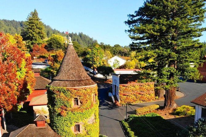 Private Russian River Day Trip from San Francisco: Redwoods and Wine Country - Who Should Consider This Tour?