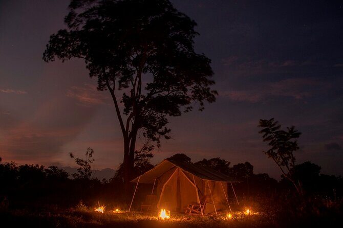 Private Safari Camping in Buttala - The Experience — A Closer Look