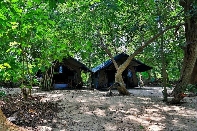 Private Safari Camping in Sri Lanka - The Value of the Price Point