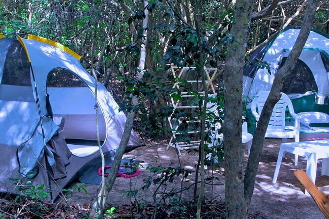 Private Safari Camping in Sri Lanka - Practical Details and Logistics