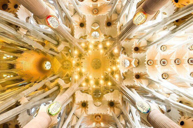 Private Sagrada Familia and Park Guell tour with Pickup - Real Feedback from Tour Participants