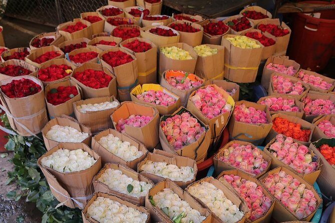 Private Saigon Sightseeing Tour by Scooter - Final Thoughts