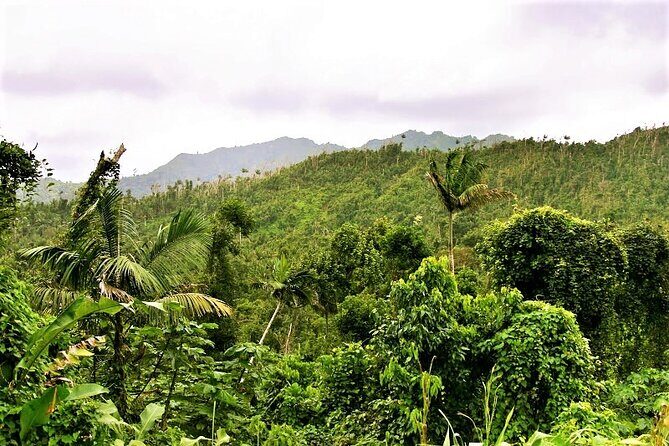 Private Sail & Hike Tour of Grenada - Who Will Love This Tour?