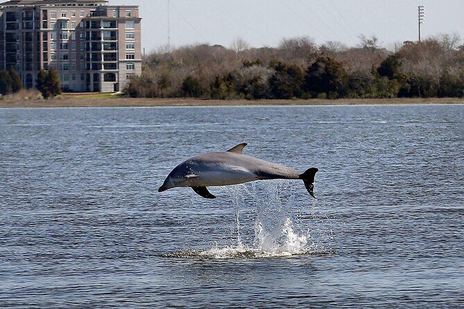 Private Sailing, Dolphin and History Tour on Mystique - Who Will Love This Tour?