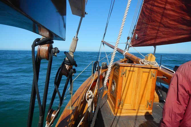 Private Sailing Tour -2 Hour (Up to 12 Passengers) - The Experience in Detail