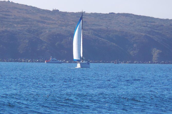Private Sailing Tour of Bodega Bay - A Hands-On Sailing Adventure in Bodega Bay