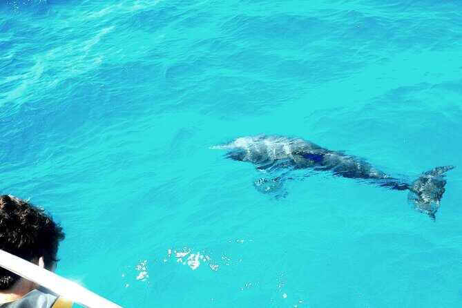 Private Sailing Tour of Pirate Waters and Shipwrecks - Key Points