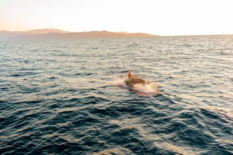 Private Sailing Trip from Heraklion to Dia island - The Value of an All-Inclusive Private Sailing Trip